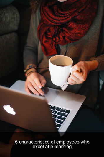 Excellent E-Learners: Who Excels at Onine Learning?