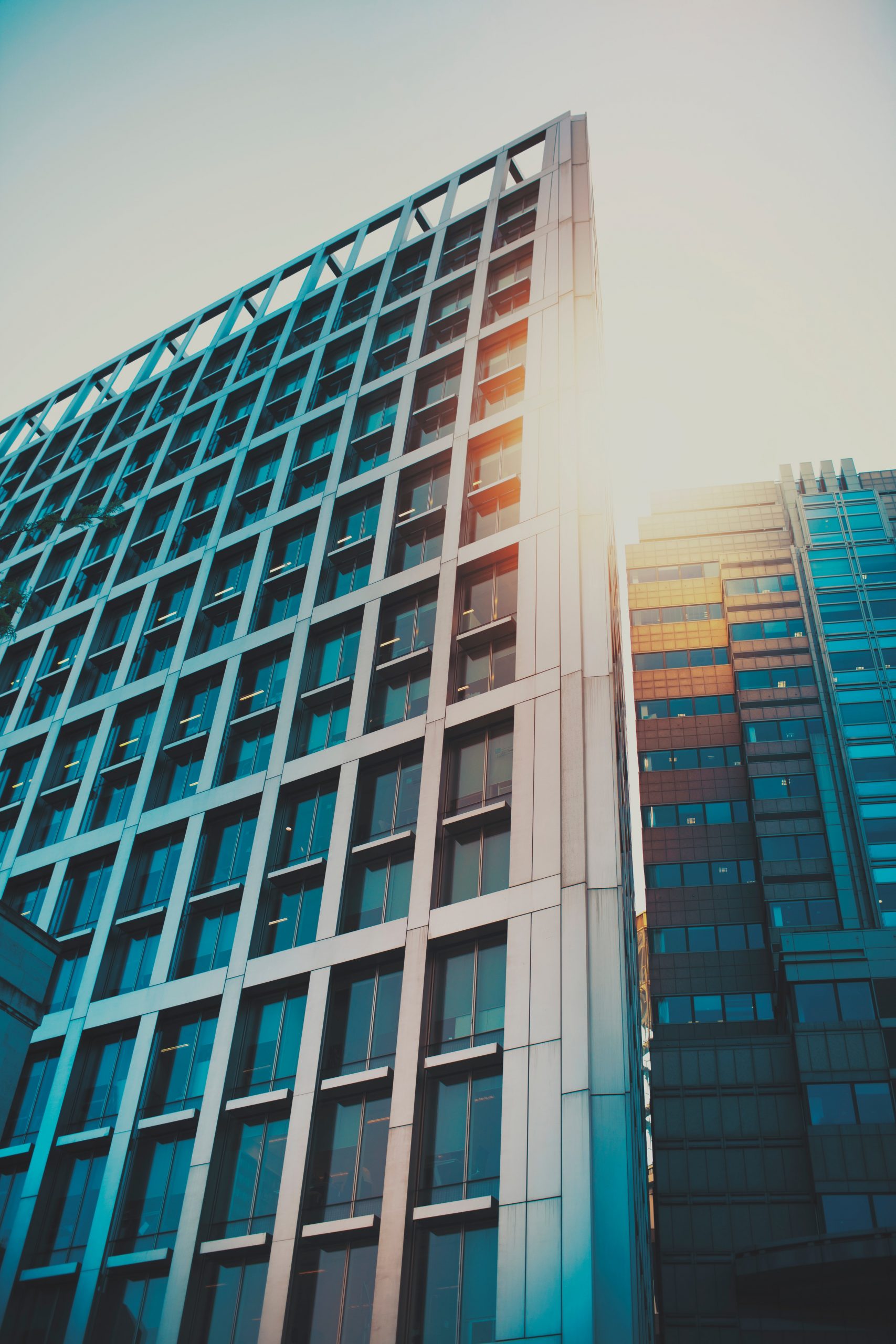 Shifting to a Performance Culture: Shift to a performance culture