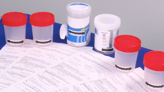 DOT Reasonable Suspicion Testing Overview for Managers and Supervisors ...